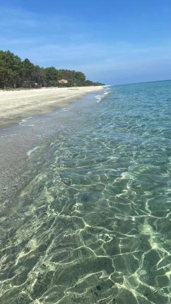 Les Pieds Dans L Eau De Betty Ghisonaccia Plage 50 M - Ghisonaccia