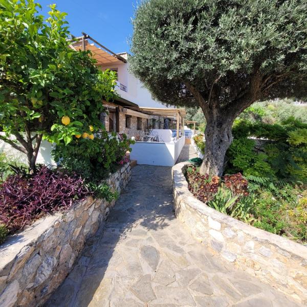 Cortijo La Joya - Lanjarón