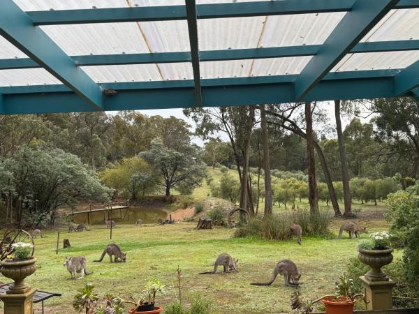 Countryside Retreat Luxury Cottage - Hepburn Springs