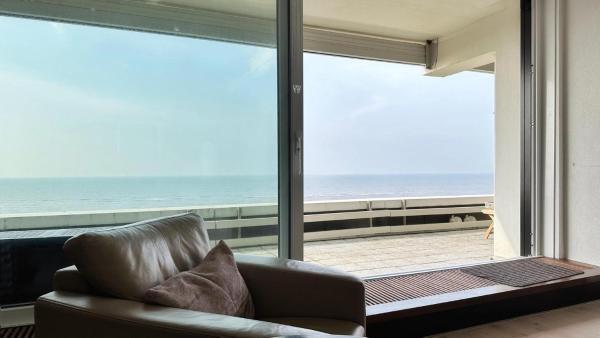 Seestern - Castricum