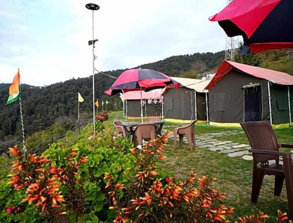 Camping In Chail - Chail