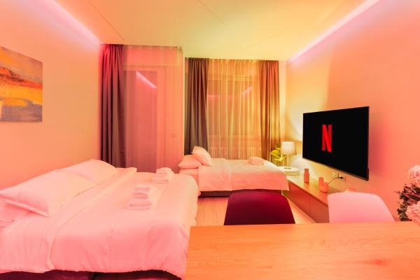 Santa Caterina- Netflix Disney Garage Box Per 8 - Pordenone