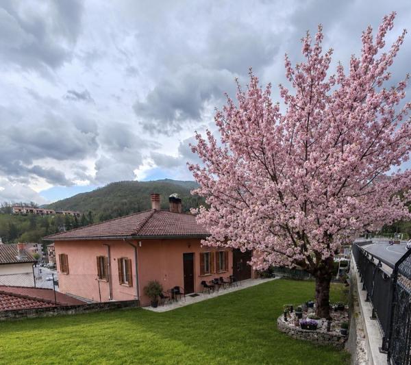 B&b Il Tralcio - Cascia