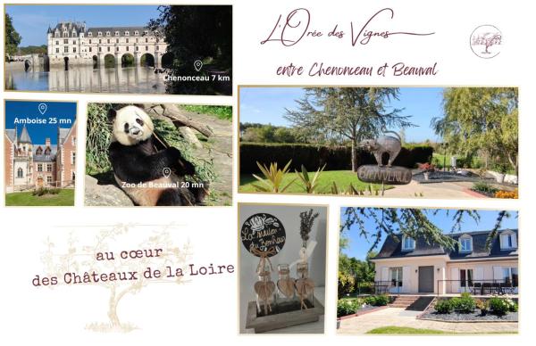 L'orée Des Vignes 41 - Chambres D'hôtes - Chenonceaux