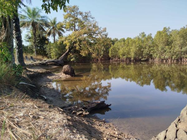 Kukus Nature Glamping - Gambia