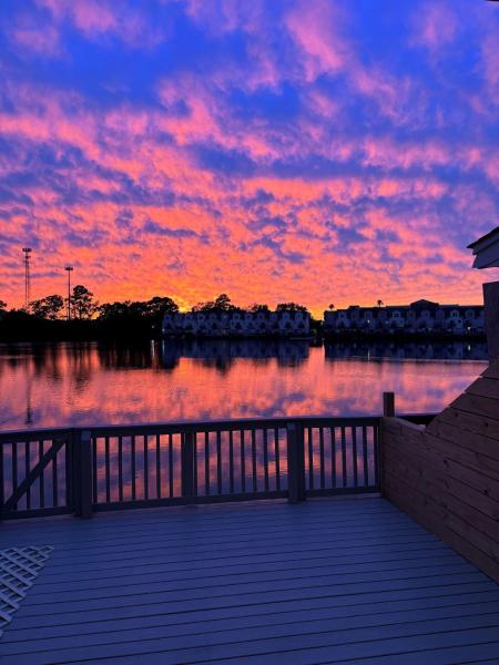 Sunset Serenity!!-tropical Waterfront Oasis-huge Private Patio-10min To Kingst & Beaches - North Charleston