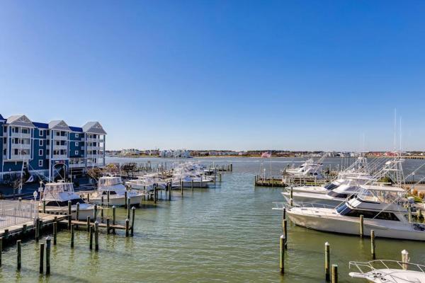 White Marlin 209b - Magnum, Ocean City