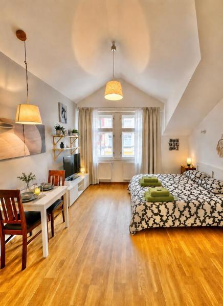 Domira Riverside Apartment - Praga
