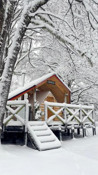 Casa Del ÁRbol - Glamping - Provincia de Neuquén