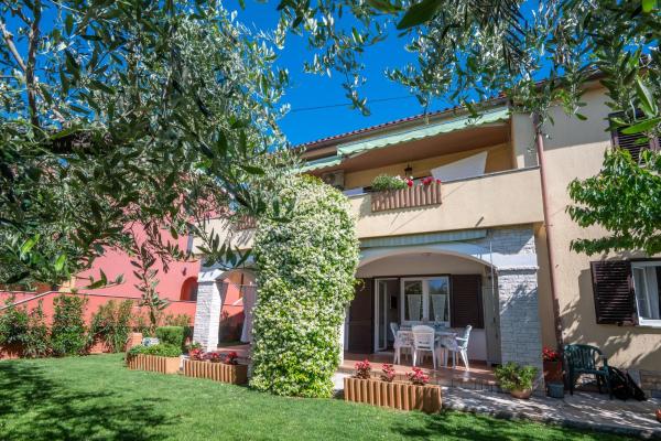 Apartments Mirella - Novigrad