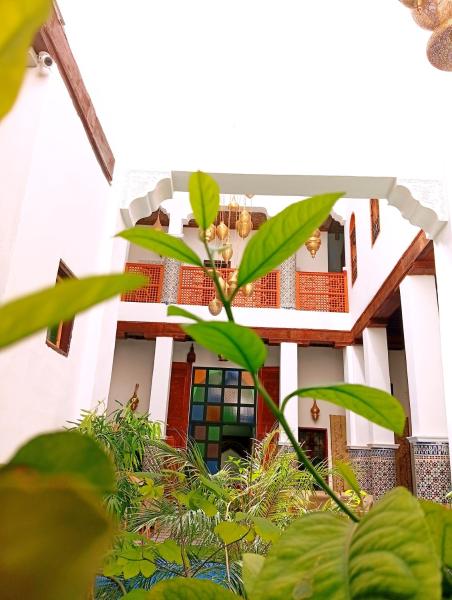 Riad Elinor - Fez