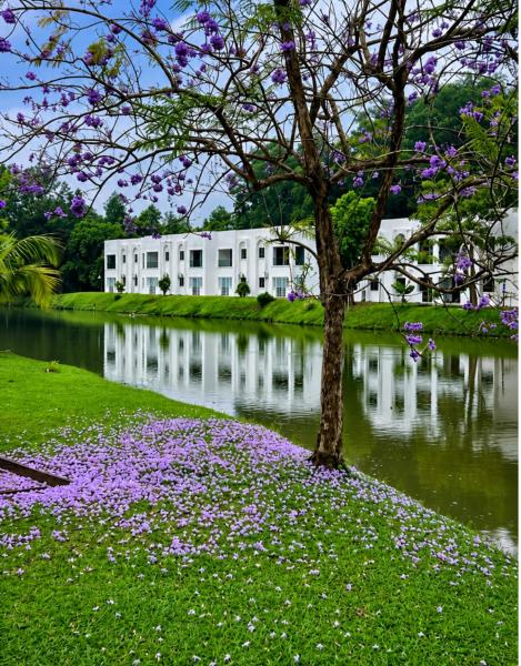 Landed Ioi City Mall Country Heights Putrajaya Homestay - Putrajaya