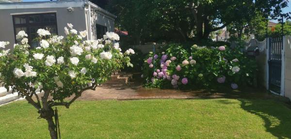Joys Place - Willys Cottage - 2 Sleeper - Cape Town