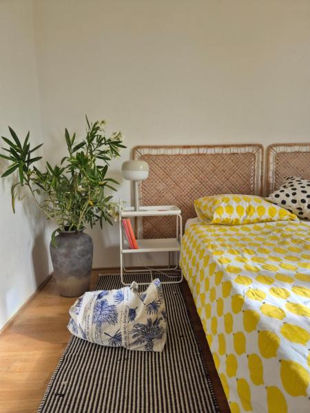 Otto Novalja, Spacious Penthouse Apartment In City Center - Mandre