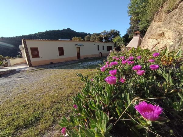 Casa Lucia Campagna Relax - Dorgali
