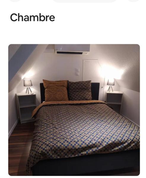 Grande Et Belle Chambre Privée Chez L'habitant - Erstein