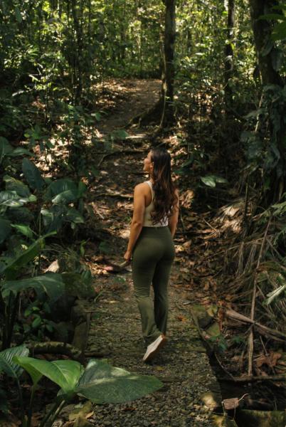 Nuakú Jungle - Quesada