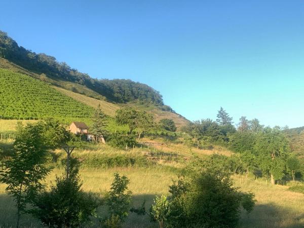 Fewo In Spielberg - Sachsenheim