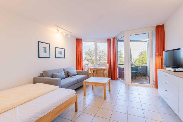 Ferienwohnpark Immenstaad Am Bodensee Ein-zimmer-apartment 49 25 - Immenstaad