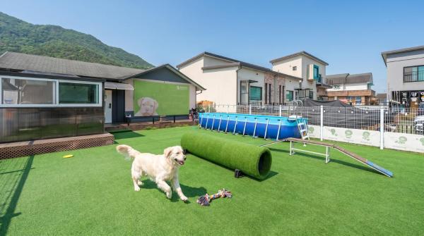 Gapyeong Dangdangi Pet Pension Green - Chuncheon-si