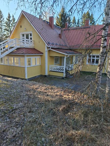 Keltasirkku - Kannus