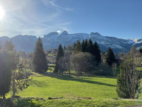 Le Vieux Chalet - Les Diablerets