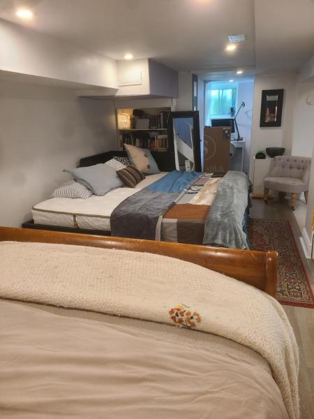 Netzero Home With Separate Ecoapt Bsmt - Mississauga