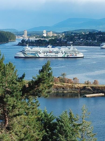 Ocean View Self-contained Studio Suite, Near Ferry In Quiet Forested Area - Nanaimo