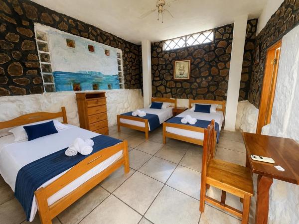 Penguin Hostel - Galápagos Islands