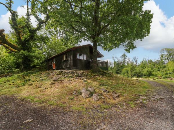 Oak Lodge - Llanelli
