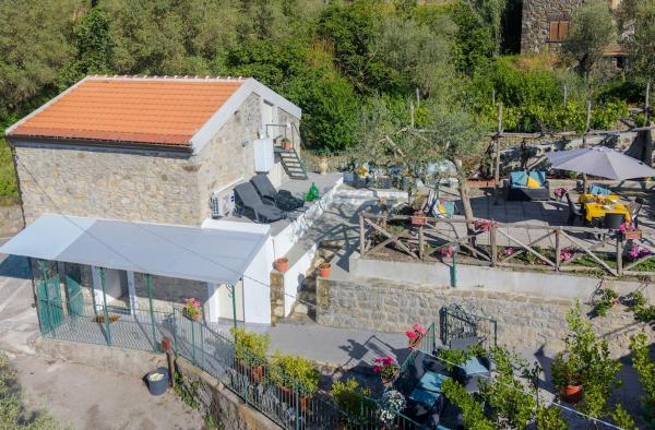 Sweet Rose Studio Apartment With Garden - Massa Lubrense