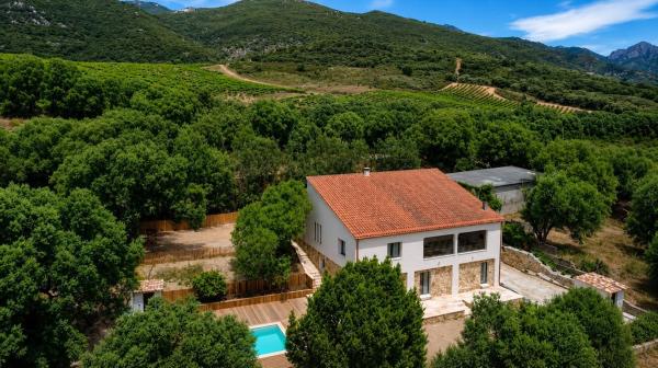 Maison à Propriano De Standing à 5mn De La Plage - Propriano