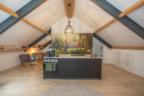 Boerderij Appartement De Casterie - Borne, Overijssel