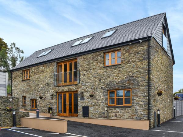 Pansi - Pansy - Ukc7076 - Aberaeron