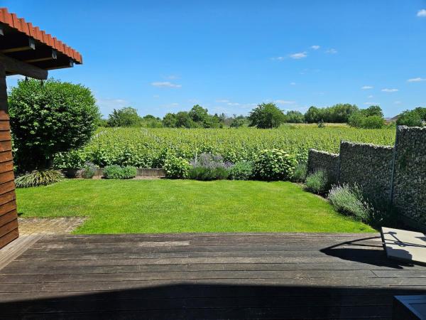 Pfälzerglück Ferienhaus Direkt Am Rebenmeer - Haßloch