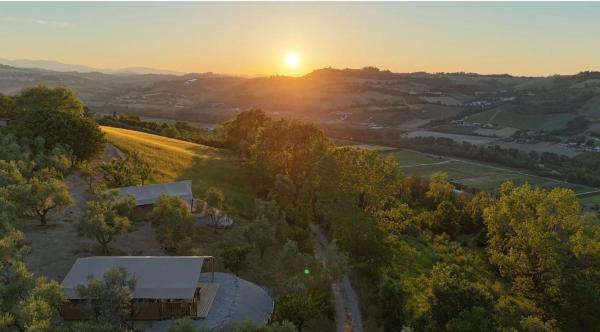 Casa Eviano, Verdicchio & Oliva - Marche