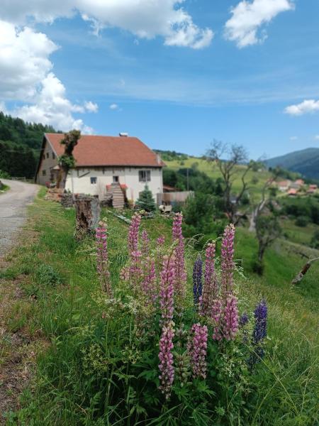 Chez Jf Et Isa - Lac des Perches
