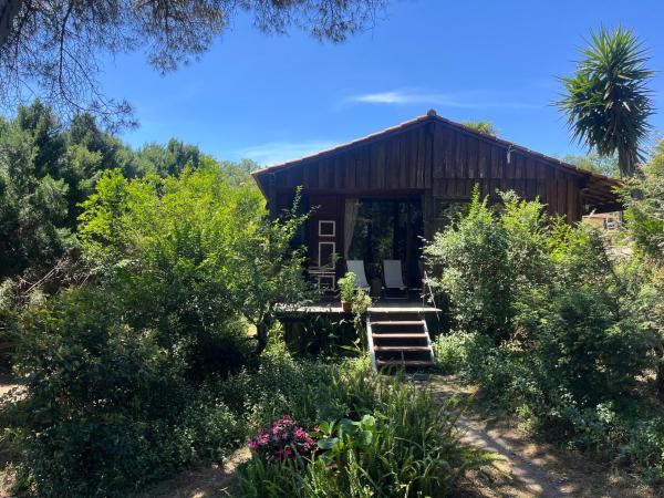Pine Lodge - Direct Train To Porto - Valongo