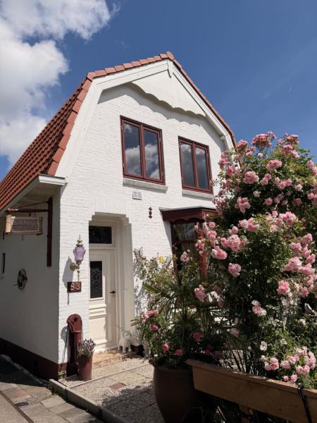B&b The White House - Zaandam