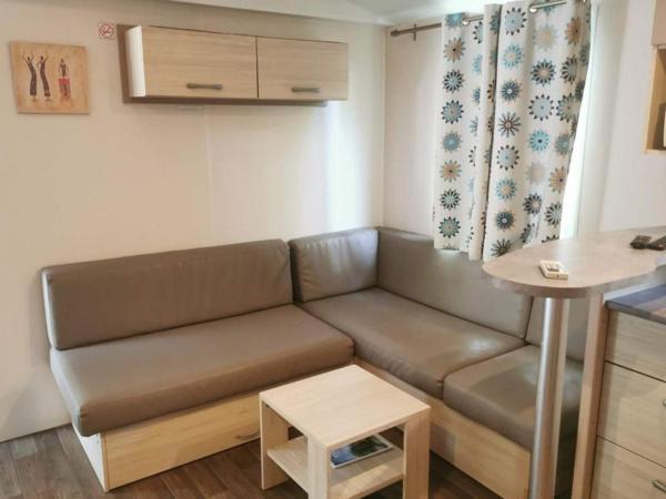 Mobil Home, Animaux Ok, Clim - 6 Pers. - Api-1-52-2906 - France