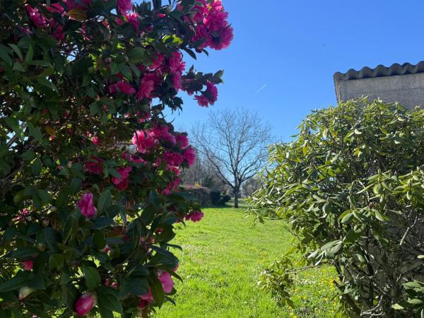 Gite Du Cerisier - Saint-Yrieix-la-Perche