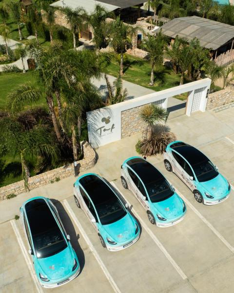 Taf Beach Villas With Tesla Car And Heated Pool - Kos
