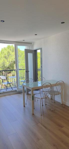 Argeles Sur Mer Charmant T2 A 150m De La Plage - Collioure
