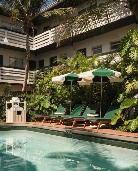 Perroquet Hotel - Davie, FL