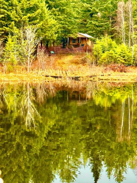 Lookout Cabin - Vermont