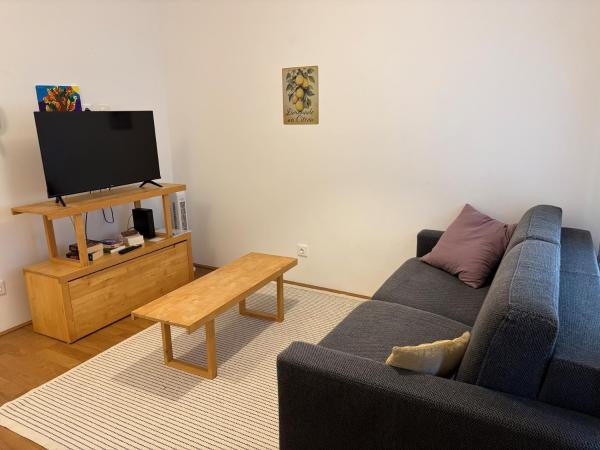 Cozy Apartment - Graz