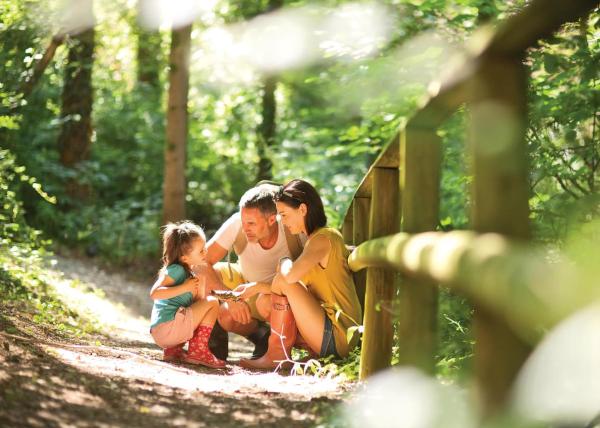 Castle Brake Holiday Park - Exeter