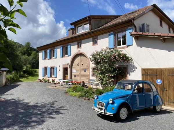 Bluets Et Brimbelles - Alsace