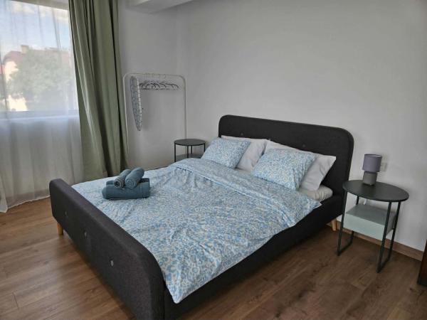 Uniria Studio Balotești Near Therme And Otopeni Airport Free Private Parking - Snagov