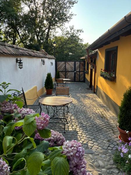 Casa Zatler Apartament - Sighișoara